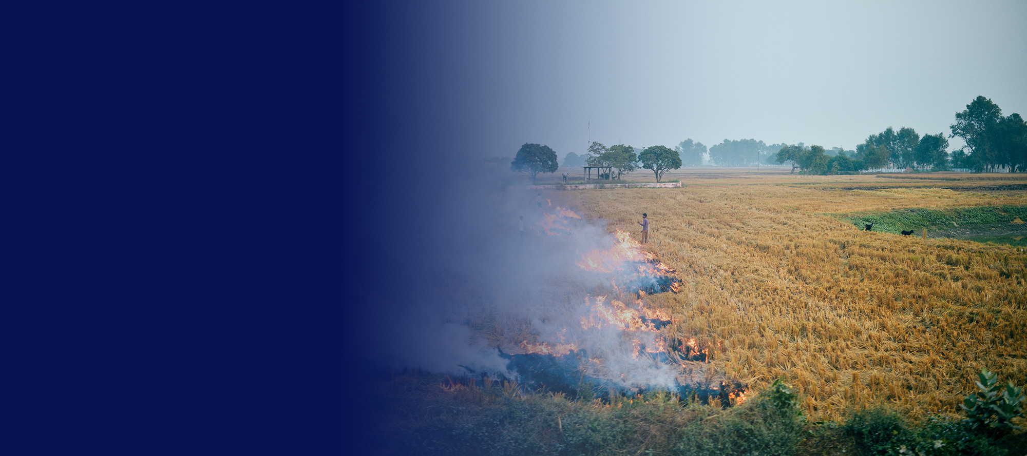 Money (Not) to Burn: Payments for Ecosystem Services to Reduce Crop ...