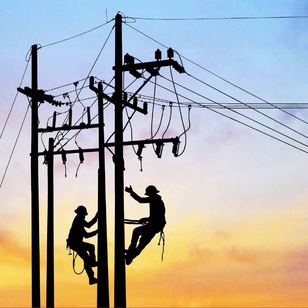Electric Grid - CEEPR